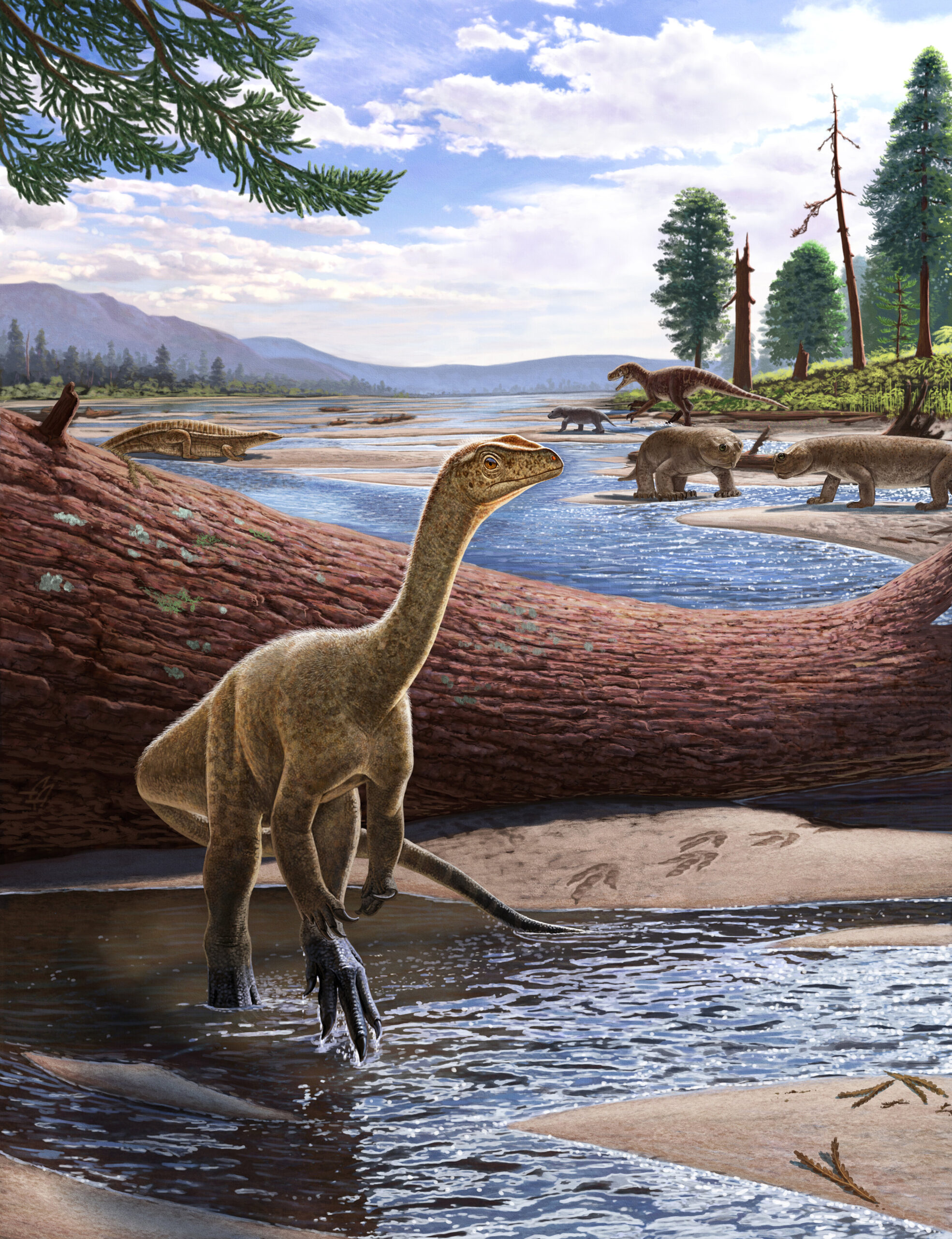 Ecco il dinosauro più antico ritrovato in Africa - Cronache di Scienza