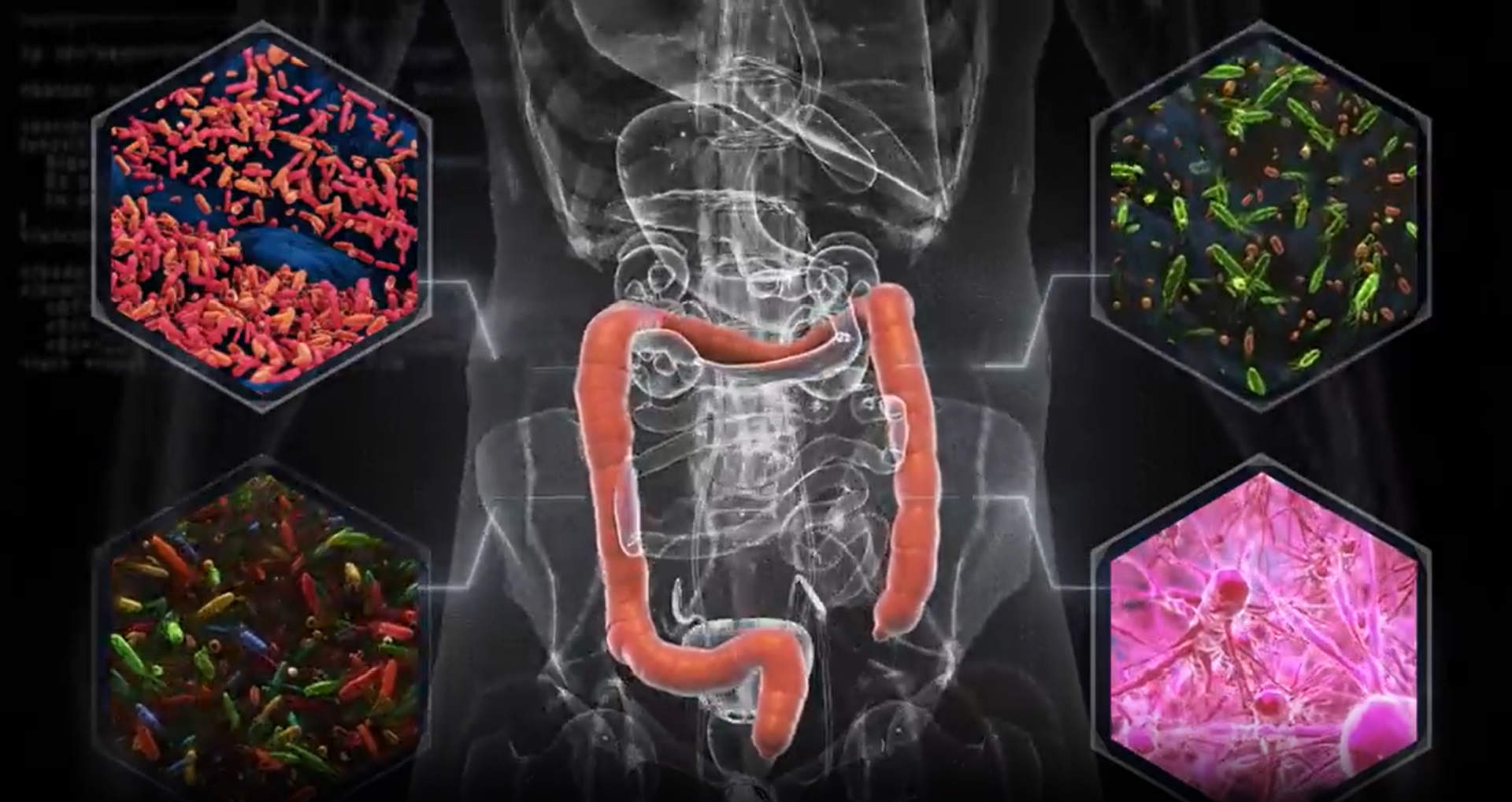 Studiare le feci per sbloccare il ruolo del microbioma nel trattamento ...